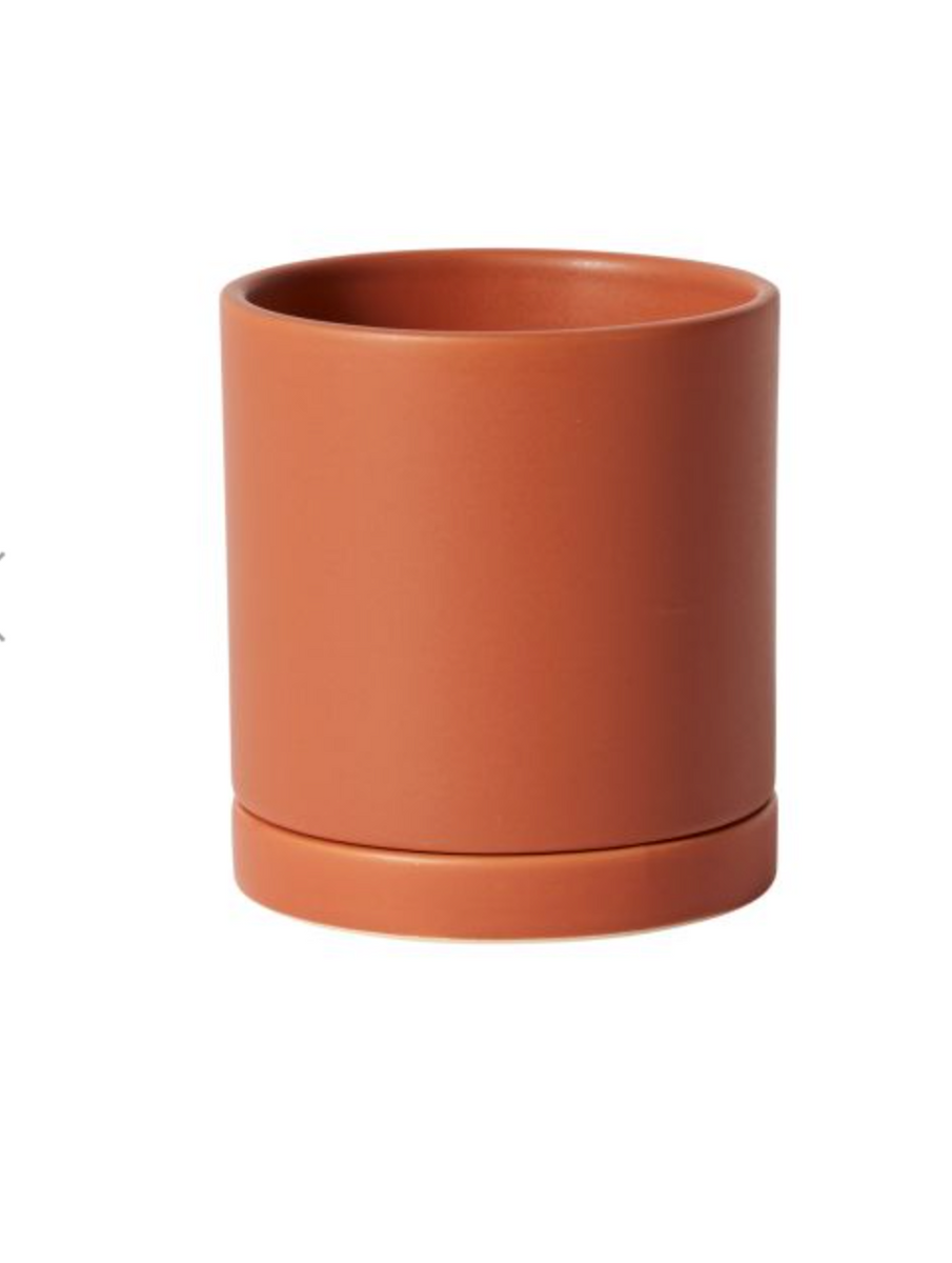 ROMEY POT – Bring Something to the Party